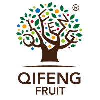 Contact Us – Qi Feng